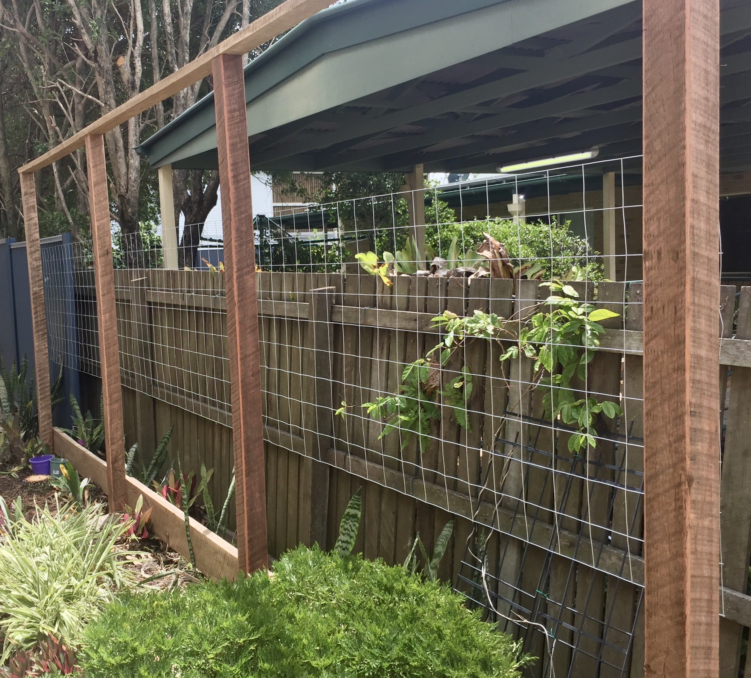 Trellis is a cheaper garden structure used as a screen or as a support ...